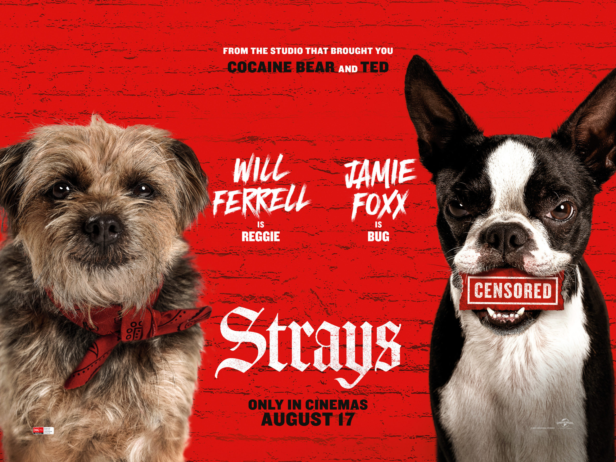 Win A Double Pass To See STRAYS | HEAVY Magazine